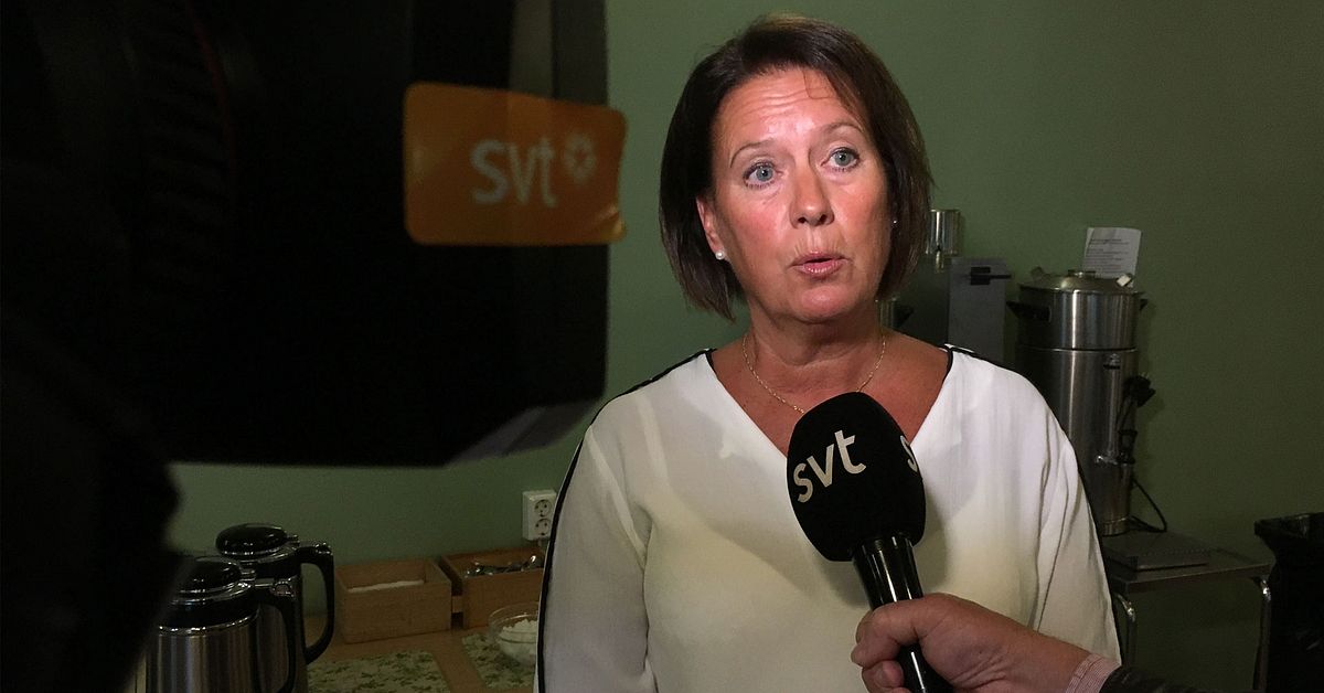 Susanne Norberg (S) har fortsatt förtroende för Dan Nygren | SVT Nyheter