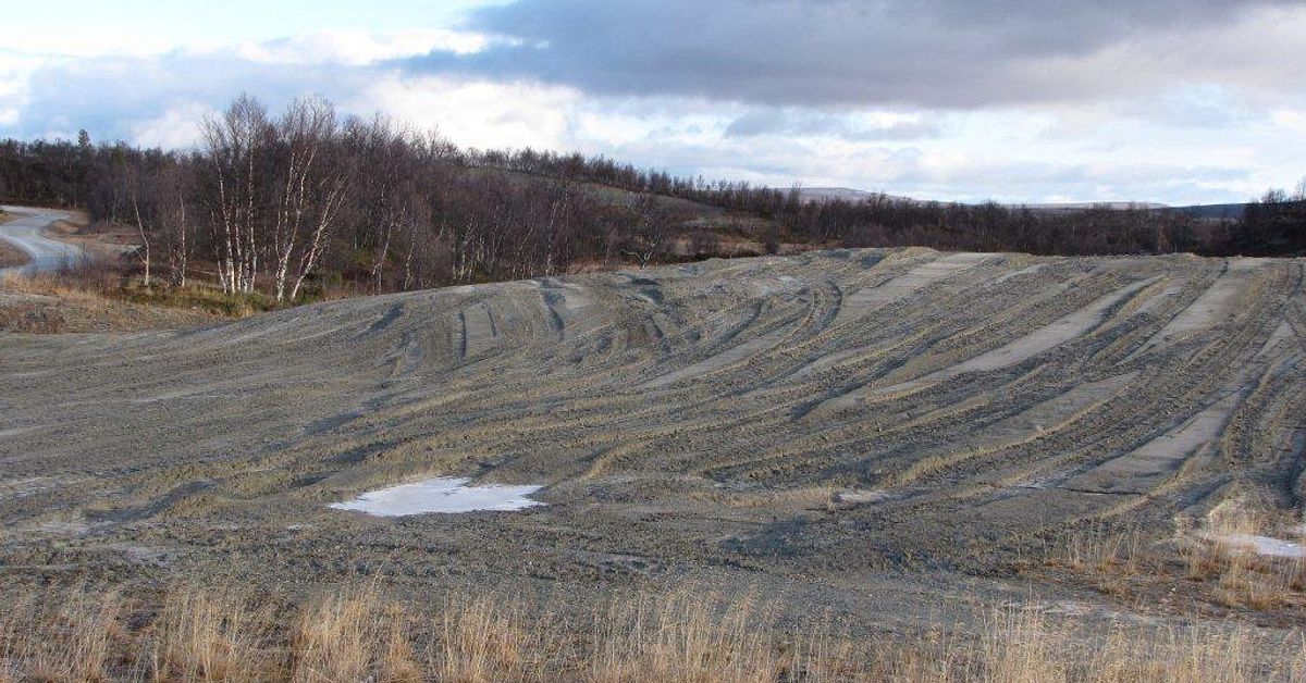 Backsvalors bon totalförstörda | SVT Nyheter