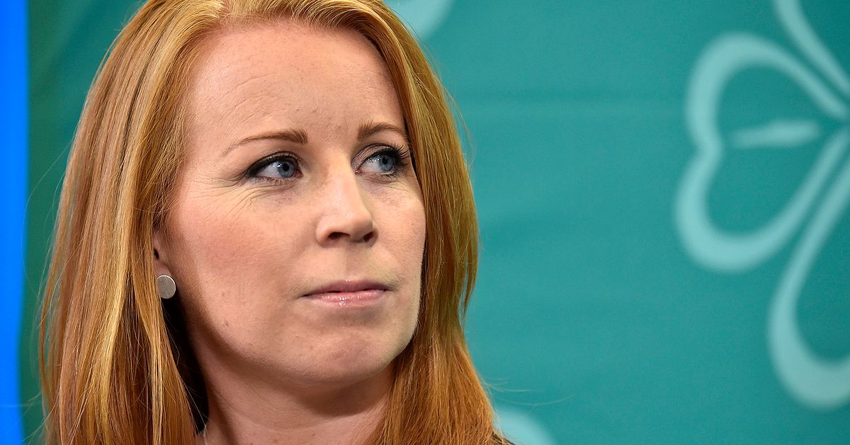 Annie Lööf ”möblerade Såväl Sjuksköterskans Som Direktörens Hem” Svt