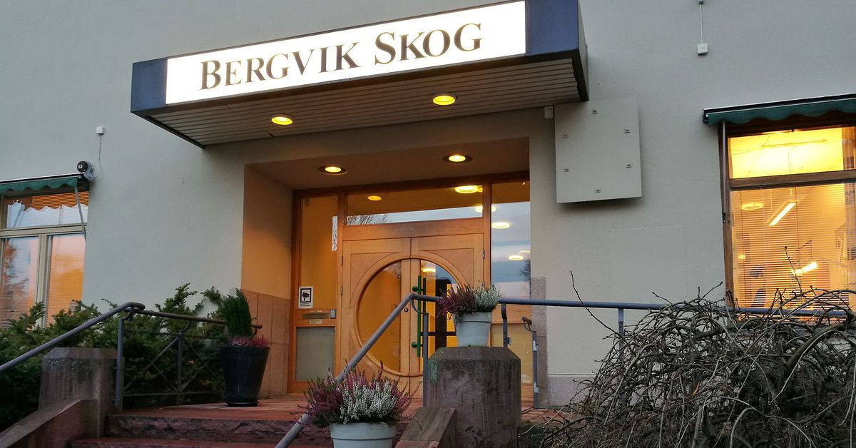 Bergvik skog styckas upp mellan storägare | SVT Nyheter
