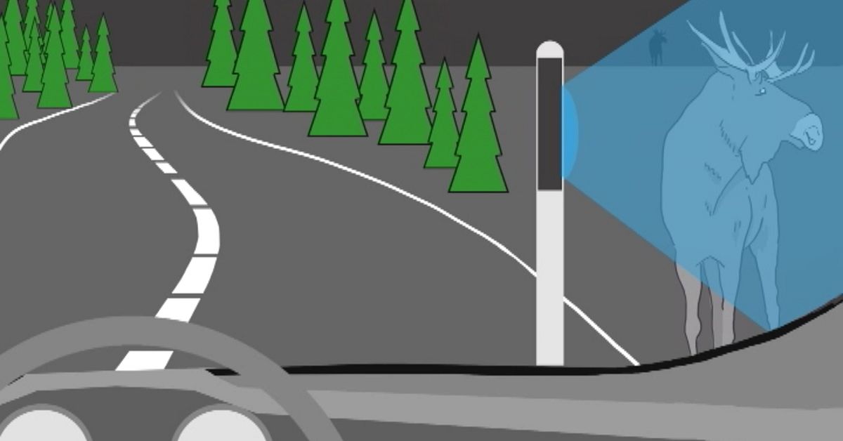 Så ska tyska reflexer skrämma bort djur från vägarna | SVT Nyheter