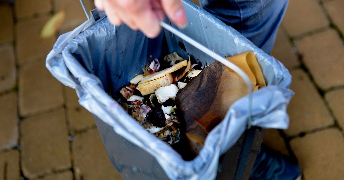 Mindre mat i soporna efter julhelgen | SVT Nyheter