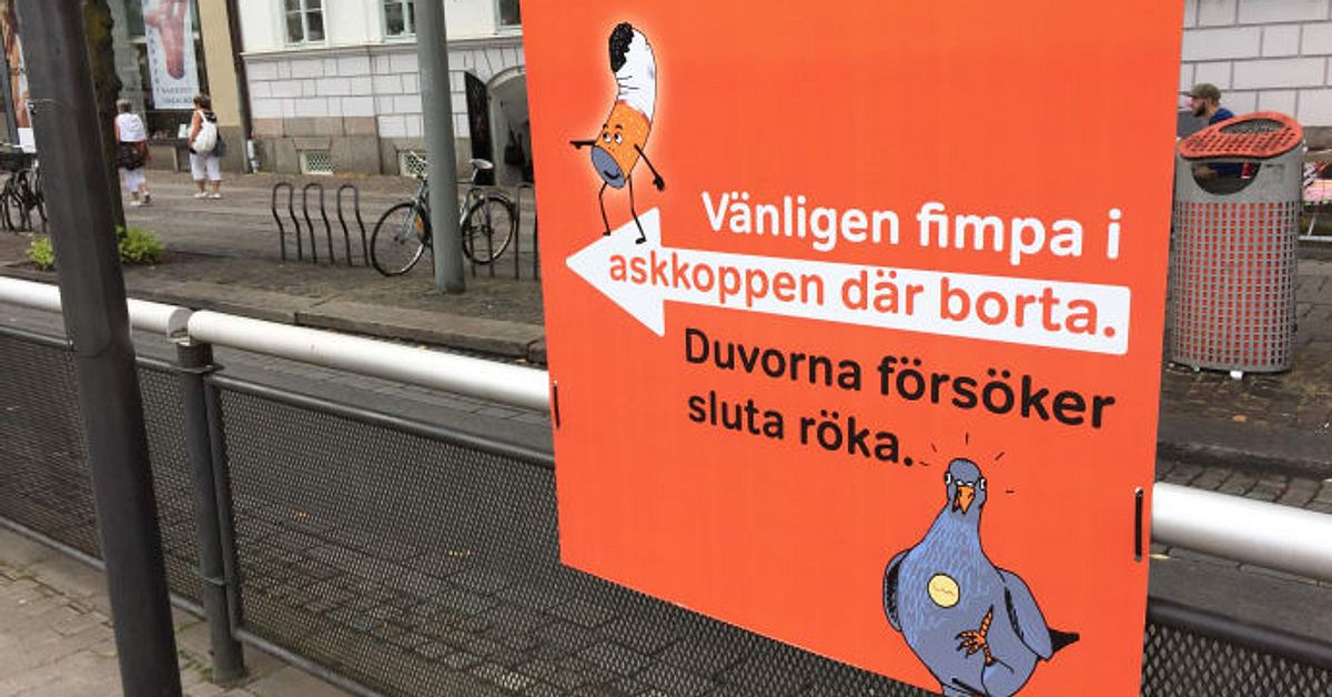 Duvor effektiva mot fimpar | SVT Nyheter