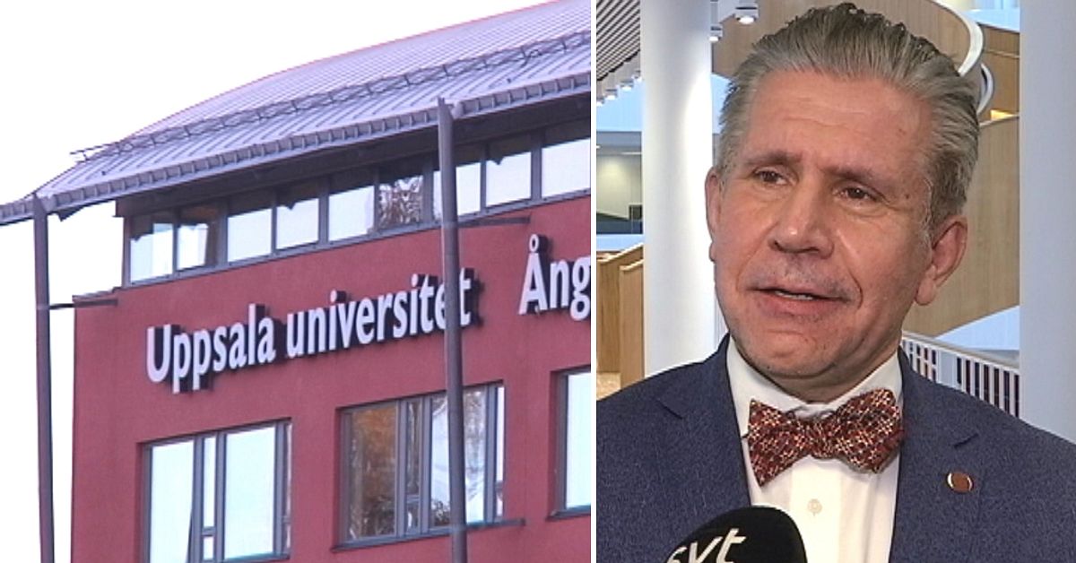 Sju forskare i taket mot professor | SVT Nyheter