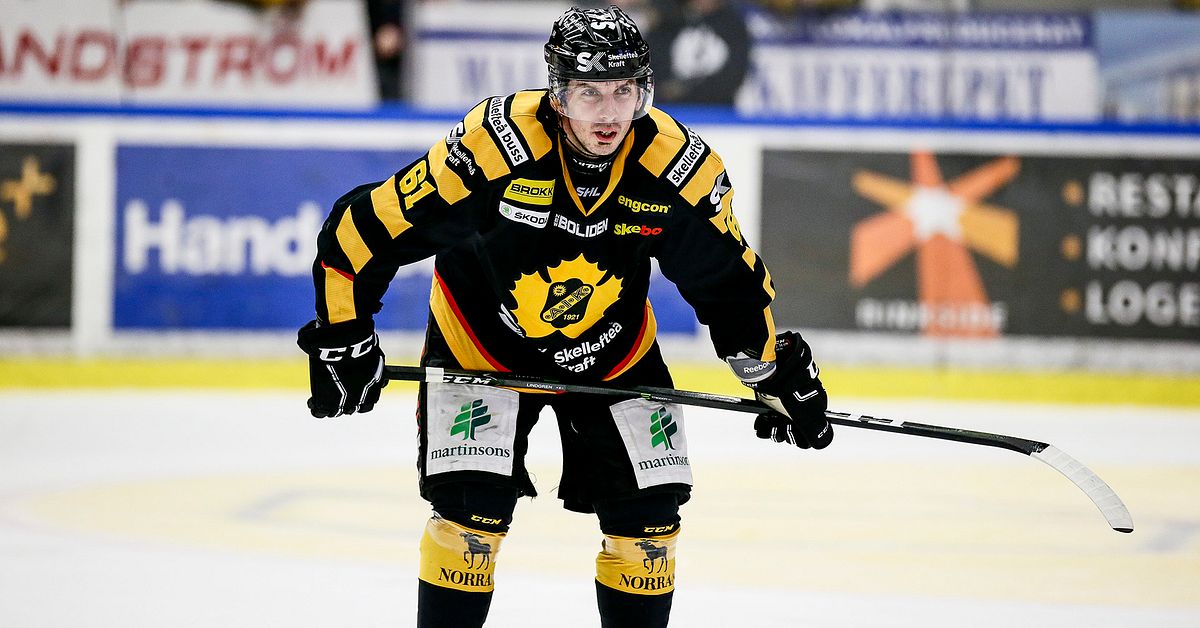 Lindgren gör comeback i Skellefteå AIK | SVT Nyheter