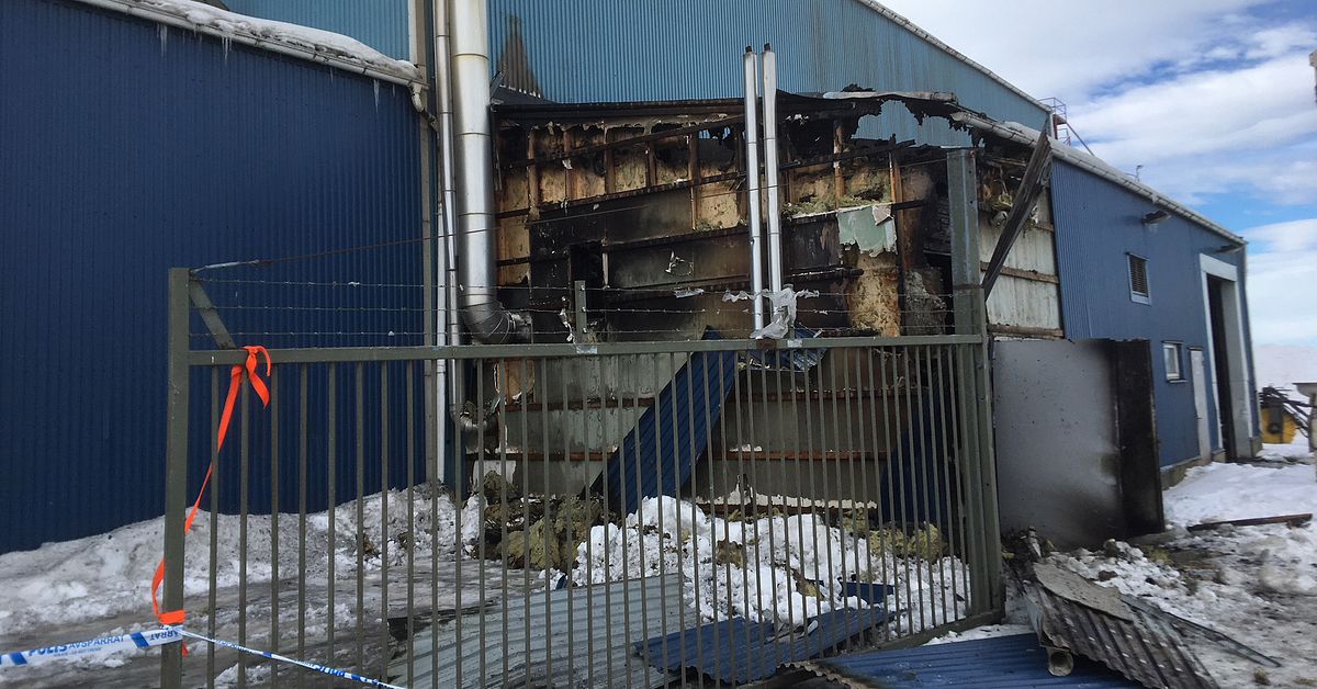 Fodercentral brann i Holmsund | SVT Nyheter