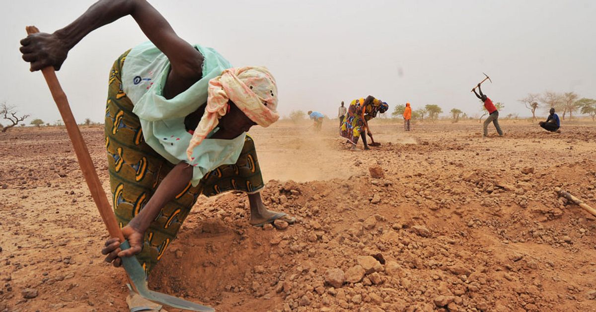 Niger: 87 flyktingar dog i öknen | SVT Nyheter