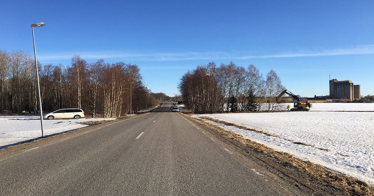 Sjömossen rensas upp – sumpmark blir promenadstråk | SVT Nyheter