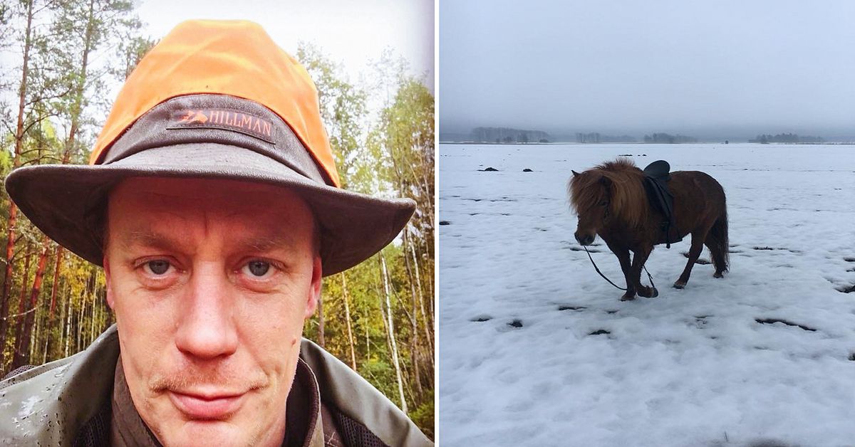 Jimmy räddade herrelös islandshäst: ”Med sadel på vet man aldrig” | SVT ...