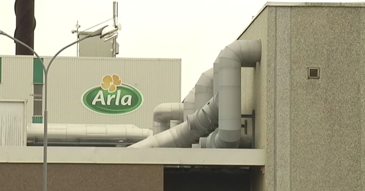 Arla satsar i Falkenberg | SVT Nyheter