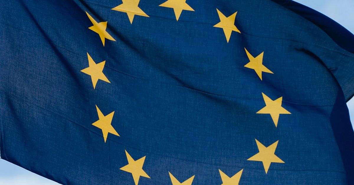 Uppstart inför EU-valet | SVT Nyheter