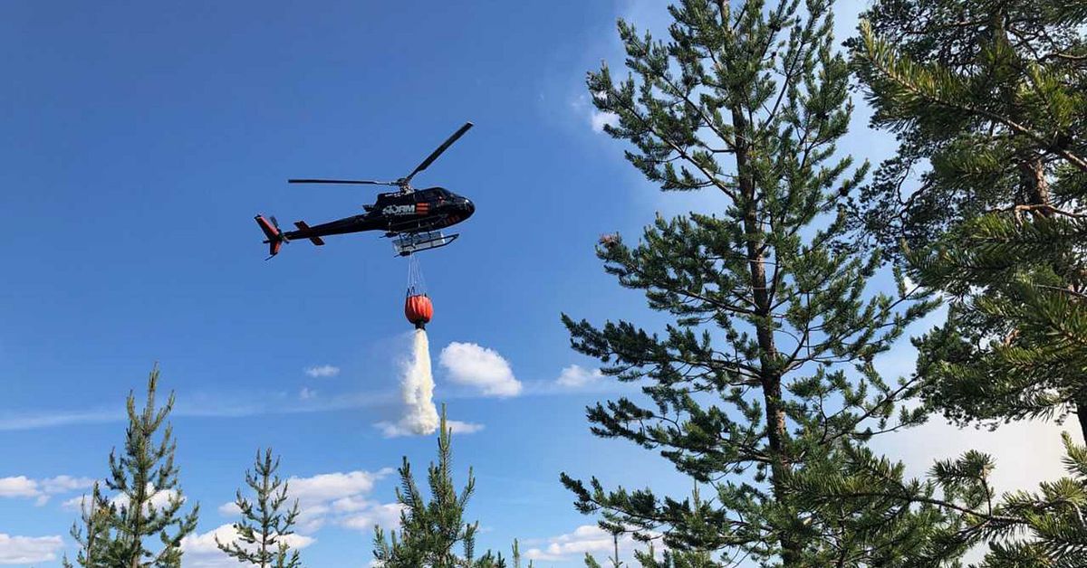 Skogsbrand i Särna | SVT Nyheter