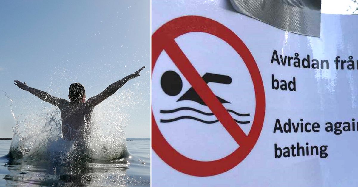 Här är Badplatserna Du Bör Undvika Just Nu Svt Nyheter