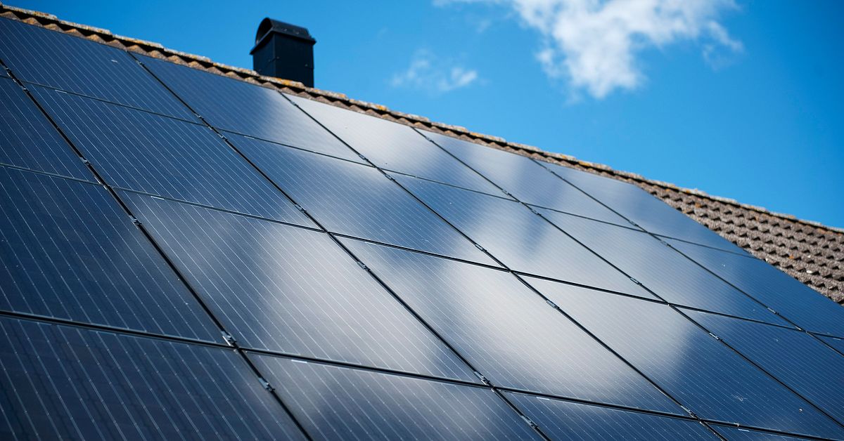 Skandinaviens största solcellspark planeras i Säffle | SVT Nyheter