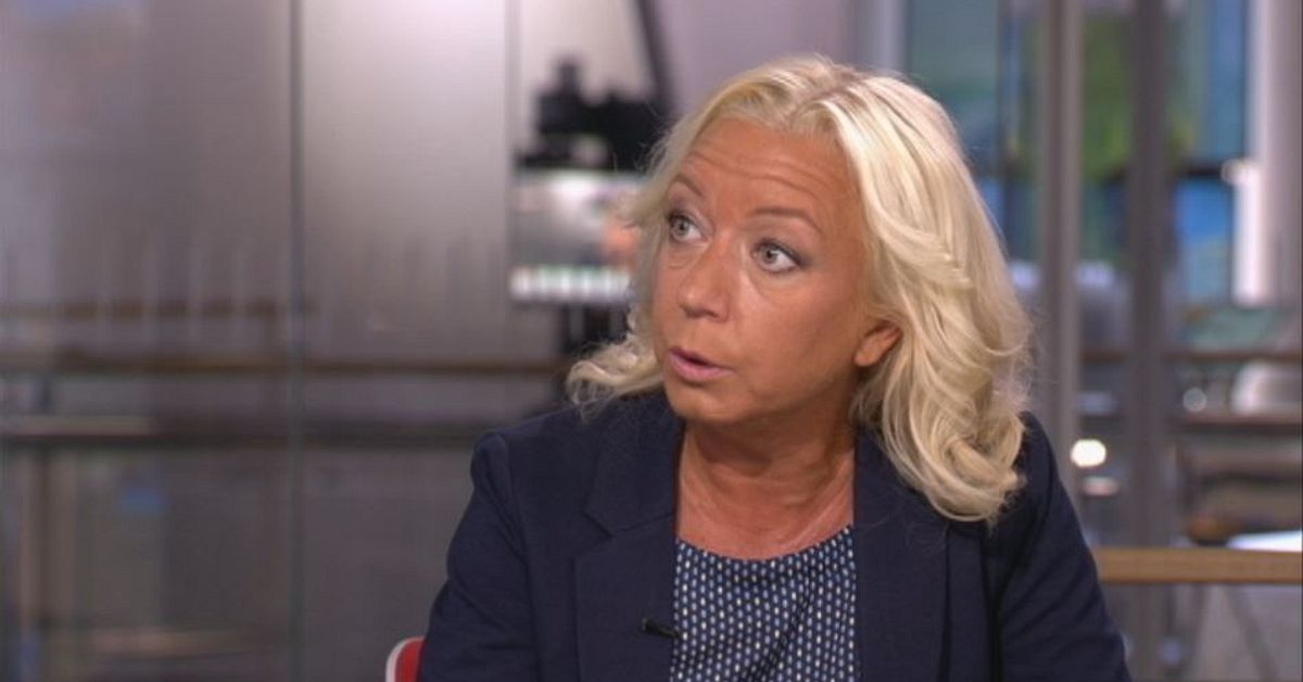 Elisabeth Marmorstein: Väntat utspel från V | SVT Nyheter