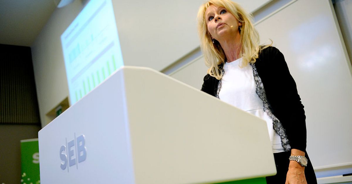 Miljardvinst för SEB | SVT Nyheter