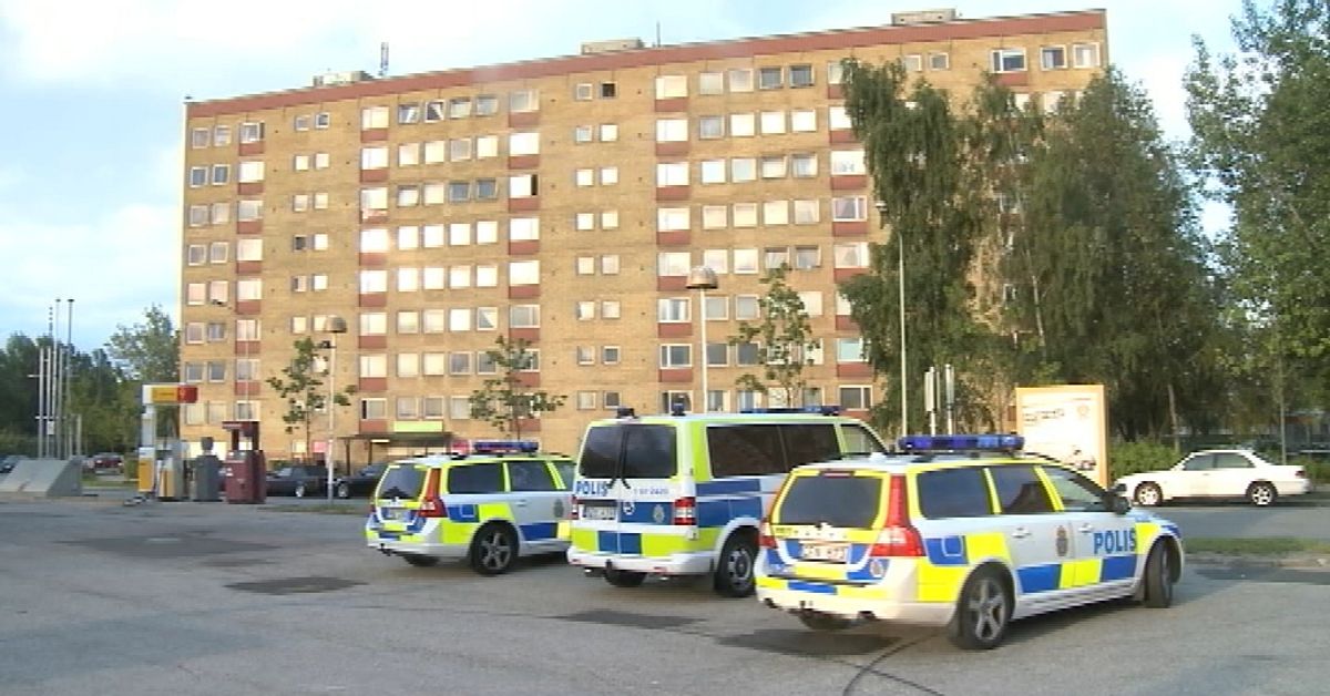 ”Fenix” förstärker polisen i Rinkeby-Tensta | SVT Nyheter