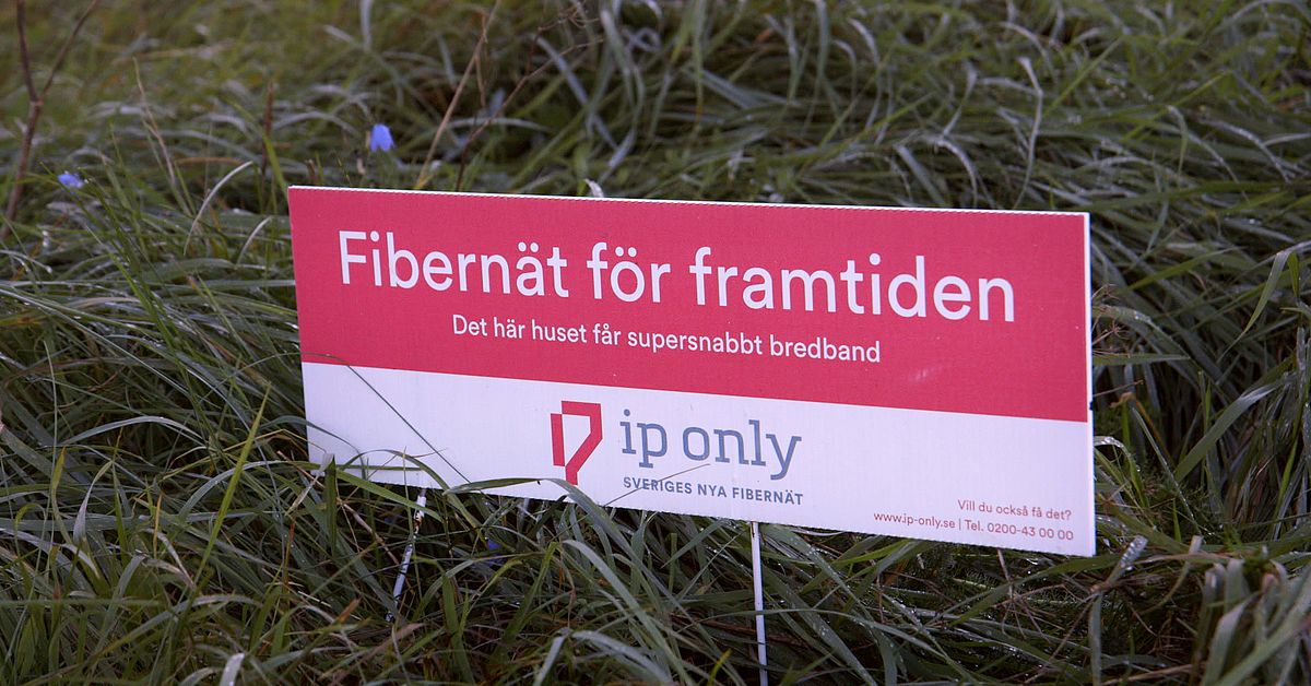 Ip Only: ”Straffavgiften ett generalfel som vi inte står bakom” | SVT ...