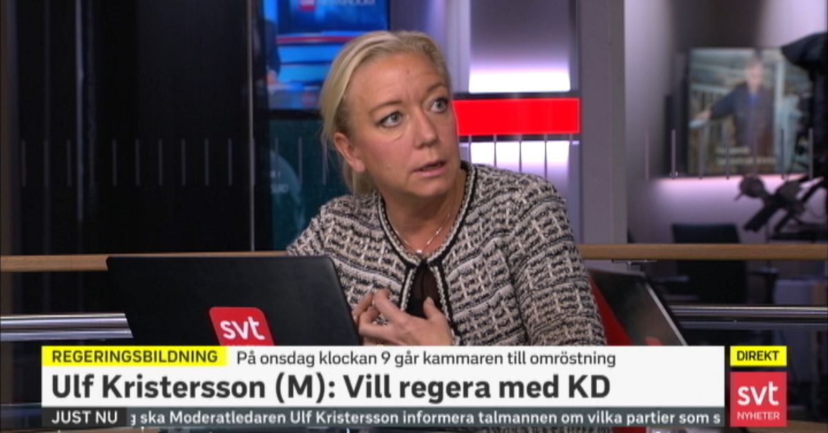 Elisabeth Marmorstein: Tio frågor och svar om det politiska läget just ...