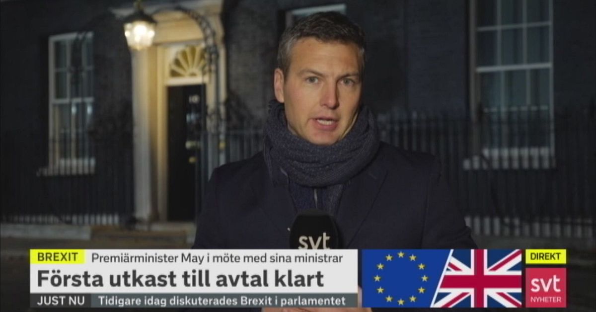 Christoffer Wendick: Därför ville May inte gå in på detaljer | SVT Nyheter