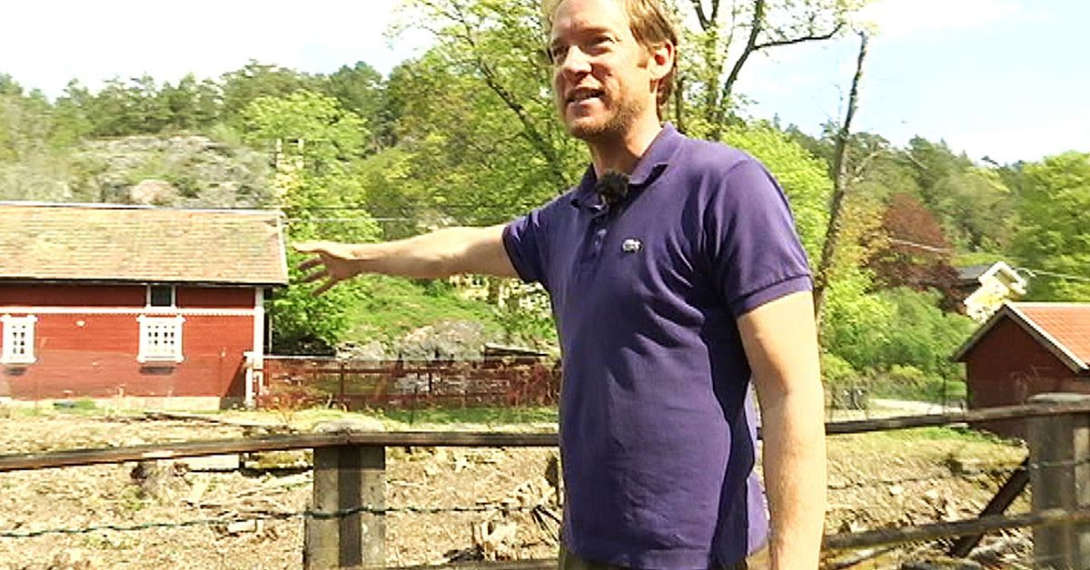 Ingen museibrytning av marmor i Kolmården | SVT Nyheter