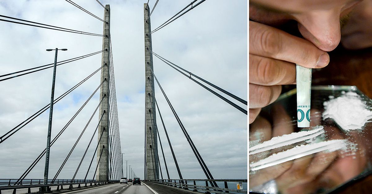 Bröder bilade genom Europa – kom hem med tio kilo kokain | SVT Nyheter