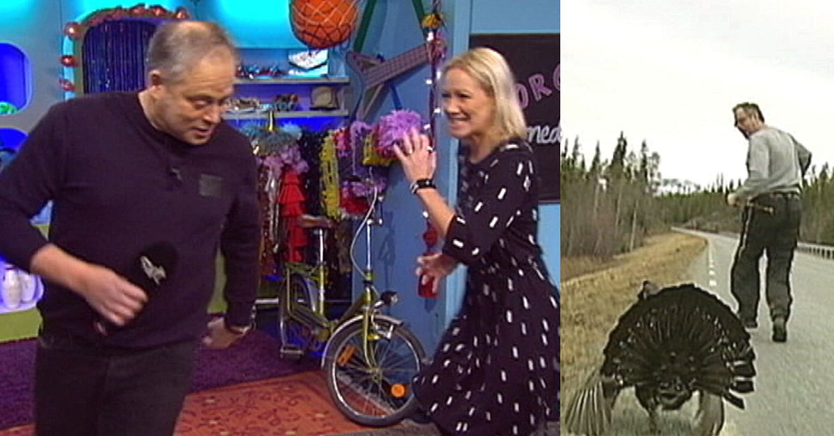 SVT:s reporter gör debut i barnprogram | SVT Nyheter