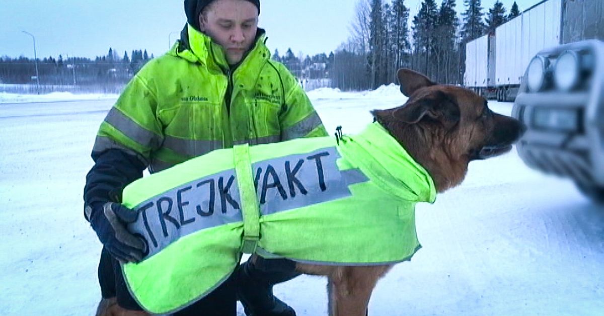 Strejken i Holmsunds hamn igång | SVT Nyheter