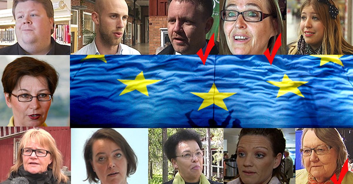 Klart med tre Gävledalabor i EU-parlamentet | SVT Nyheter