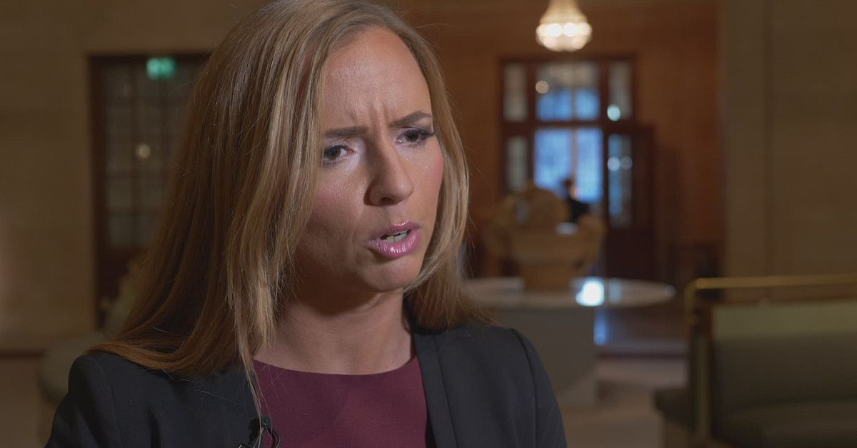 Sara Skyttedal fick en kvarts miljon för valkampanj | SVT Nyheter