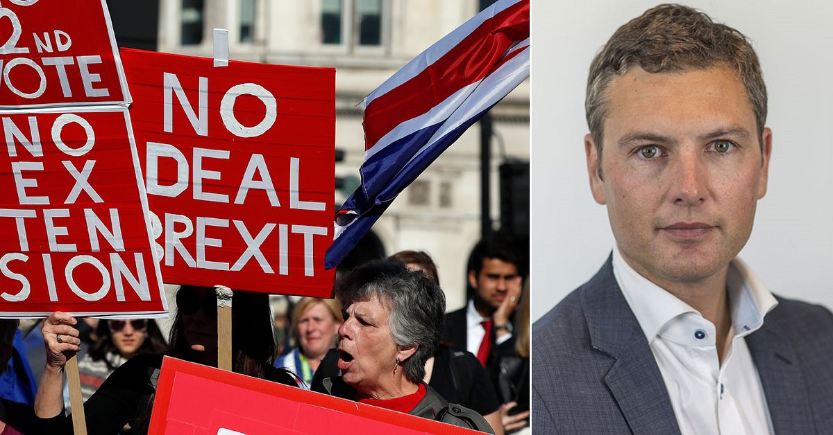 Wendick: ”Allt mer sannolikt att de lämnar EU utan ett avtal” | SVT Nyheter