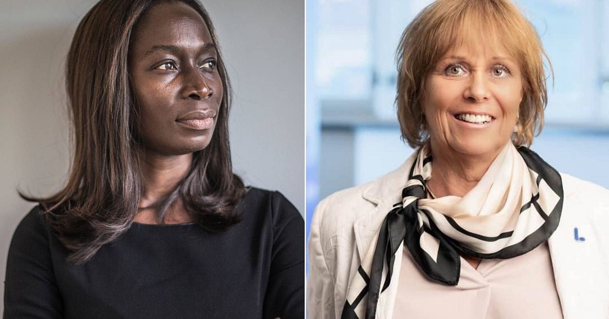 Liberalerna i Sörmland vill ha Sabuni som partiledare | SVT Nyheter