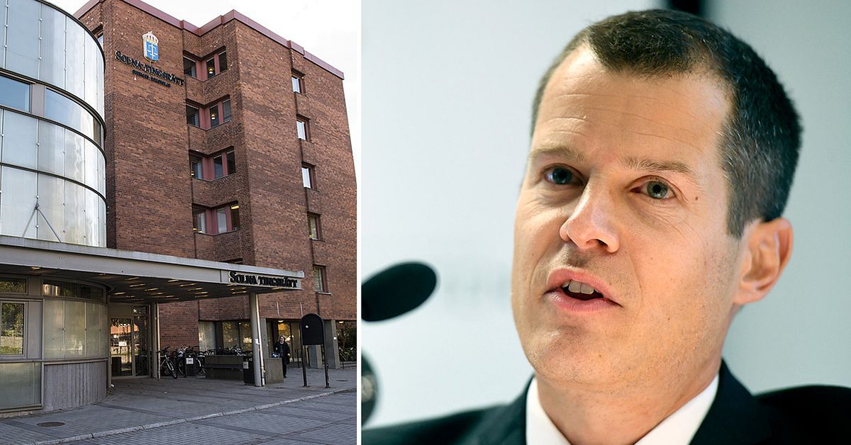 Åklagaren Om Domen Mot Man Som Försökte Köpa Barn ”jag Tänker