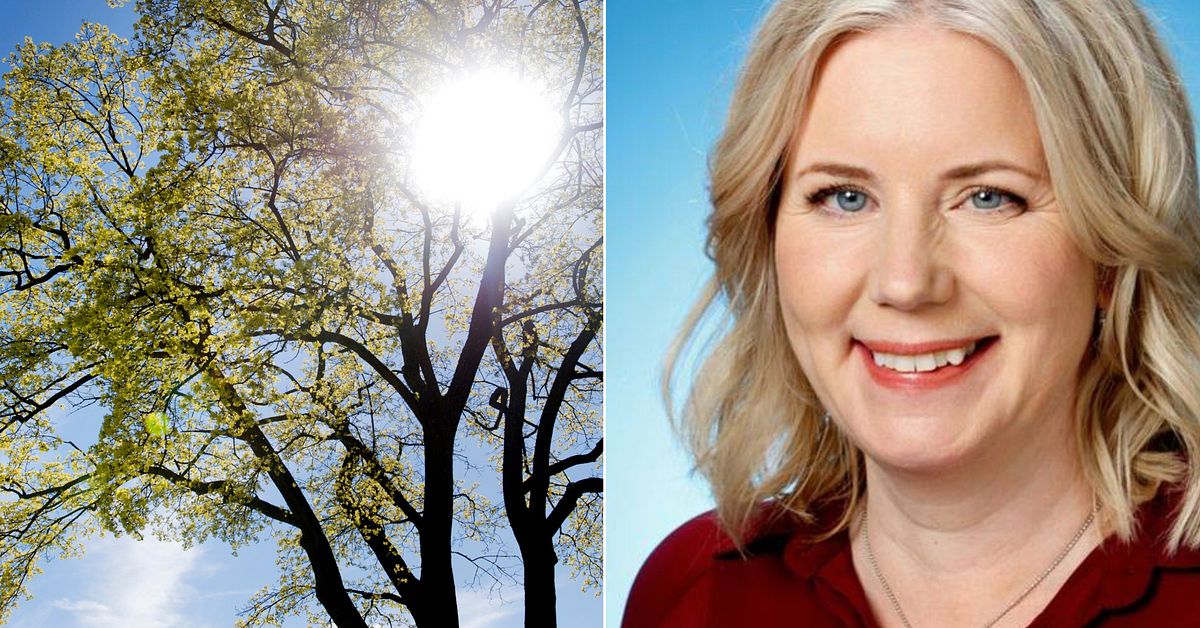 Sol, moln och nederbörd – så blir Norrlands-vädret i veckan | SVT Nyheter