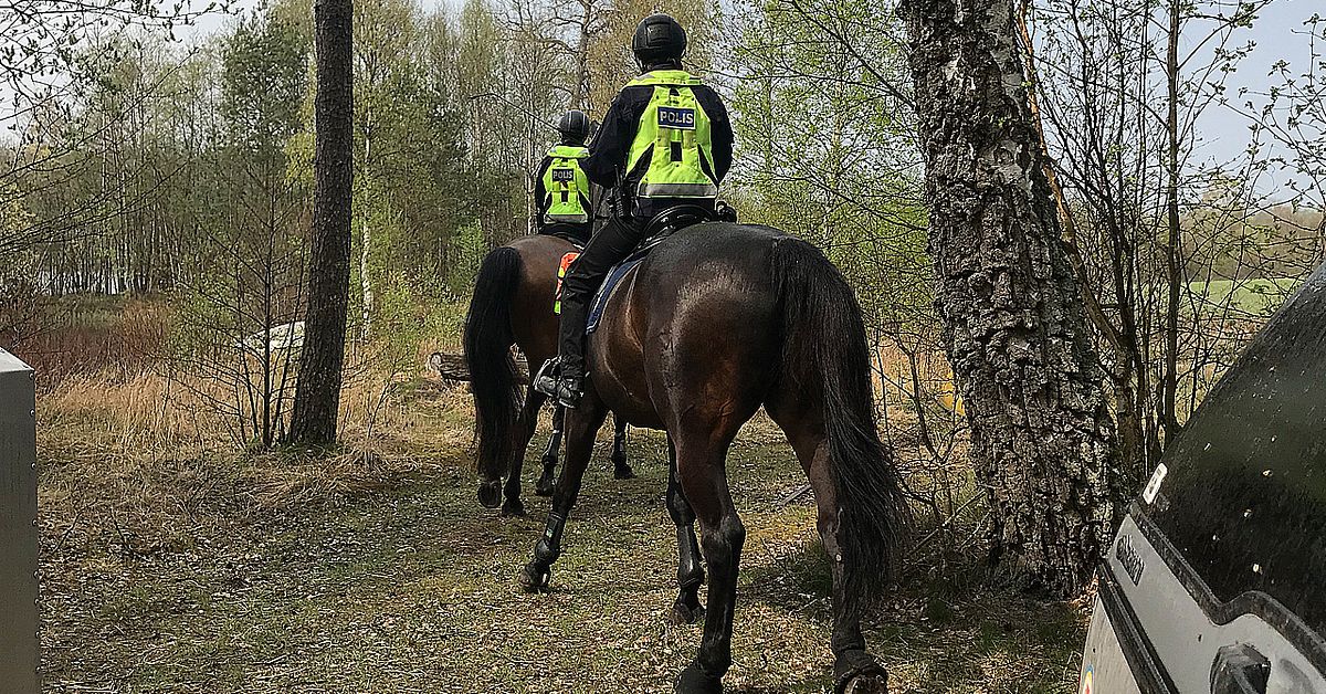 Stor Sökinsats Efter Försvunnen Man Svt Nyheter