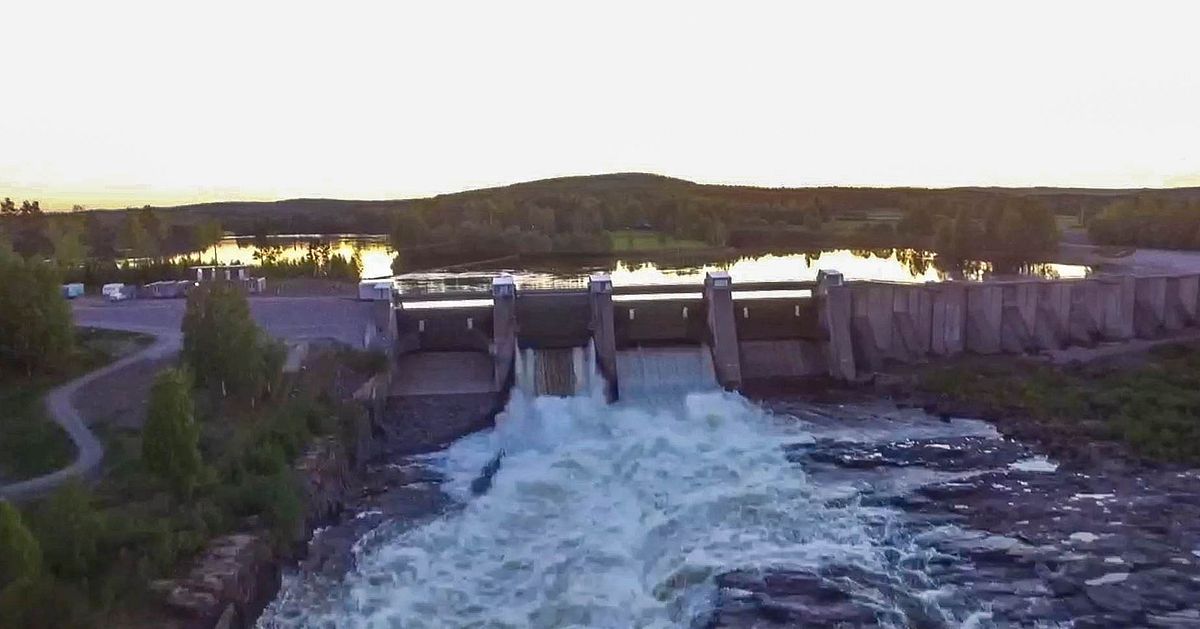 Fler älvar och floder exploateras – ”Risk att djur utrotas” | SVT Nyheter