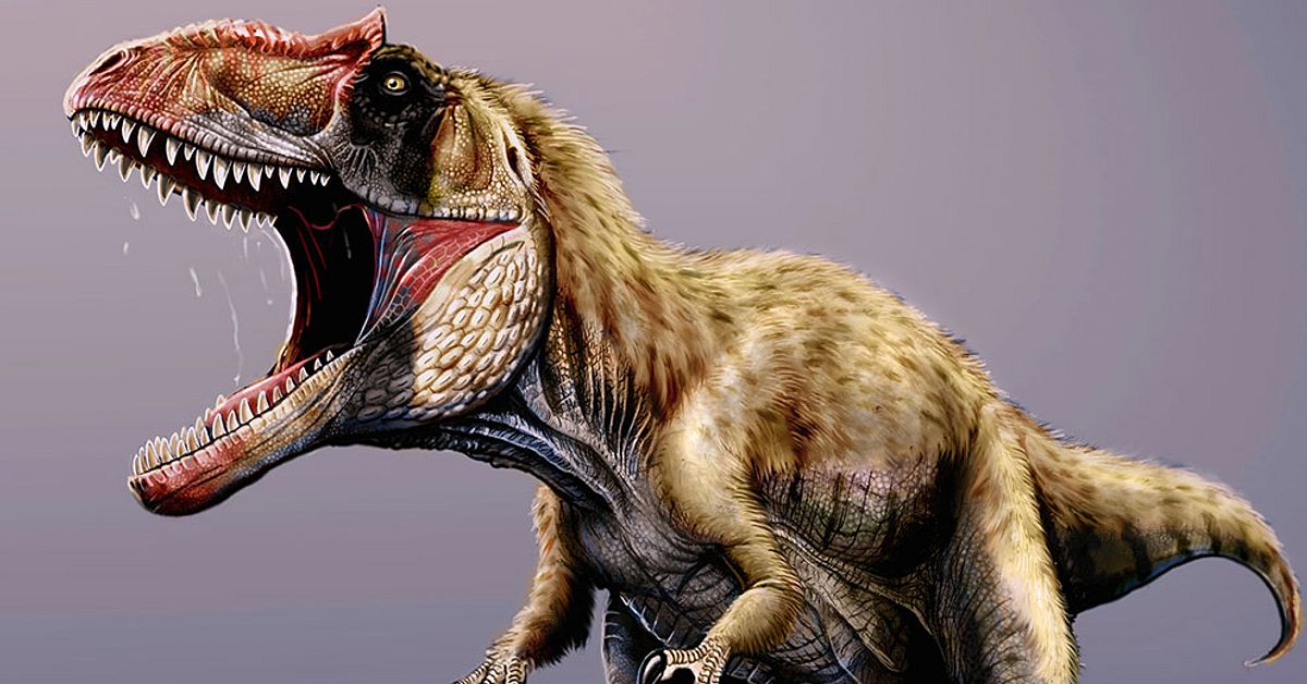 Oflax bakom dinosauriers död | SVT Nyheter