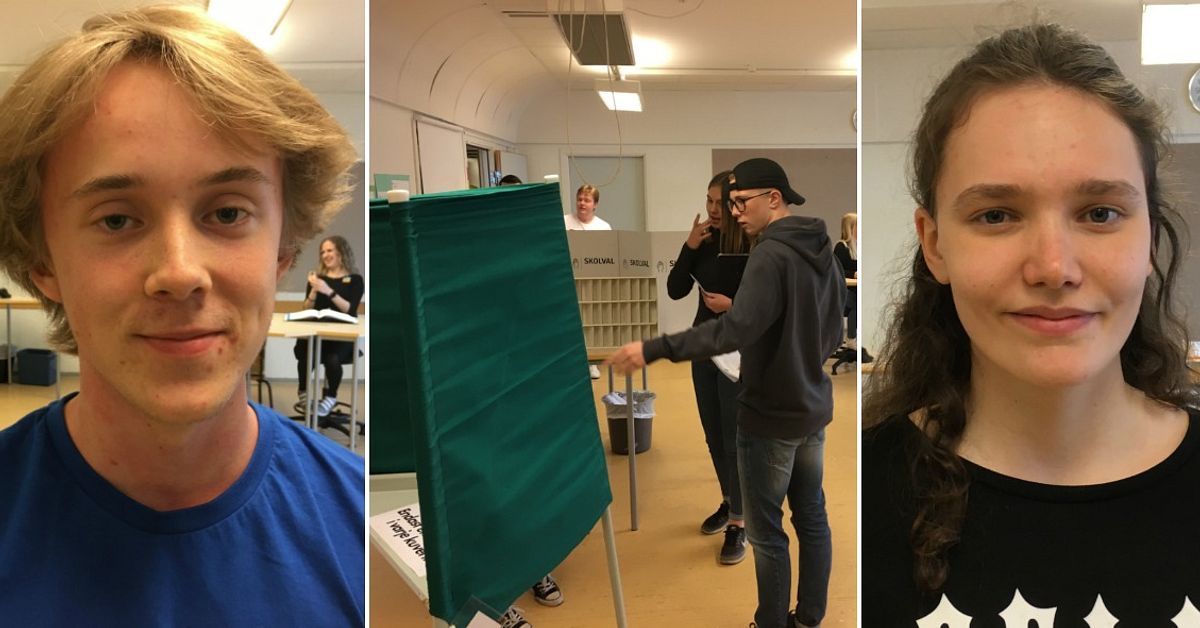 Elever i länet lägger sin röst i EU-skolvalet | SVT Nyheter