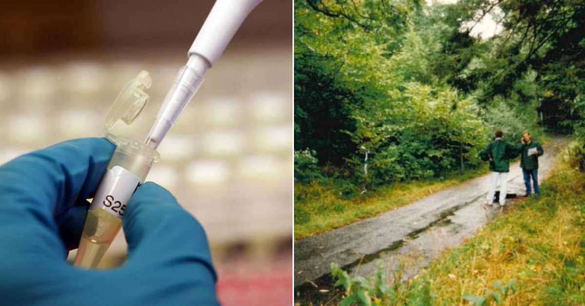 Uppmärksammad Våldtäkt I Billdal För 24 år Sen Nu Döms Mannen Till