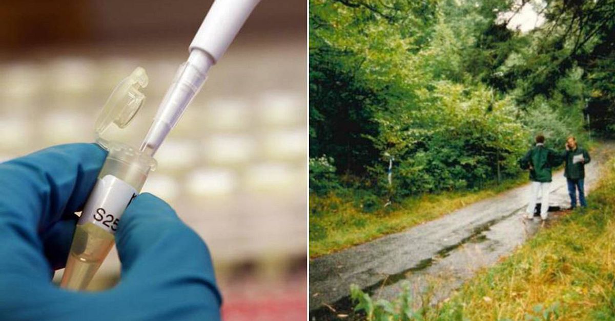 Sex års Fängelse För Barnvåldtäkt 1995 Svt Nyheter