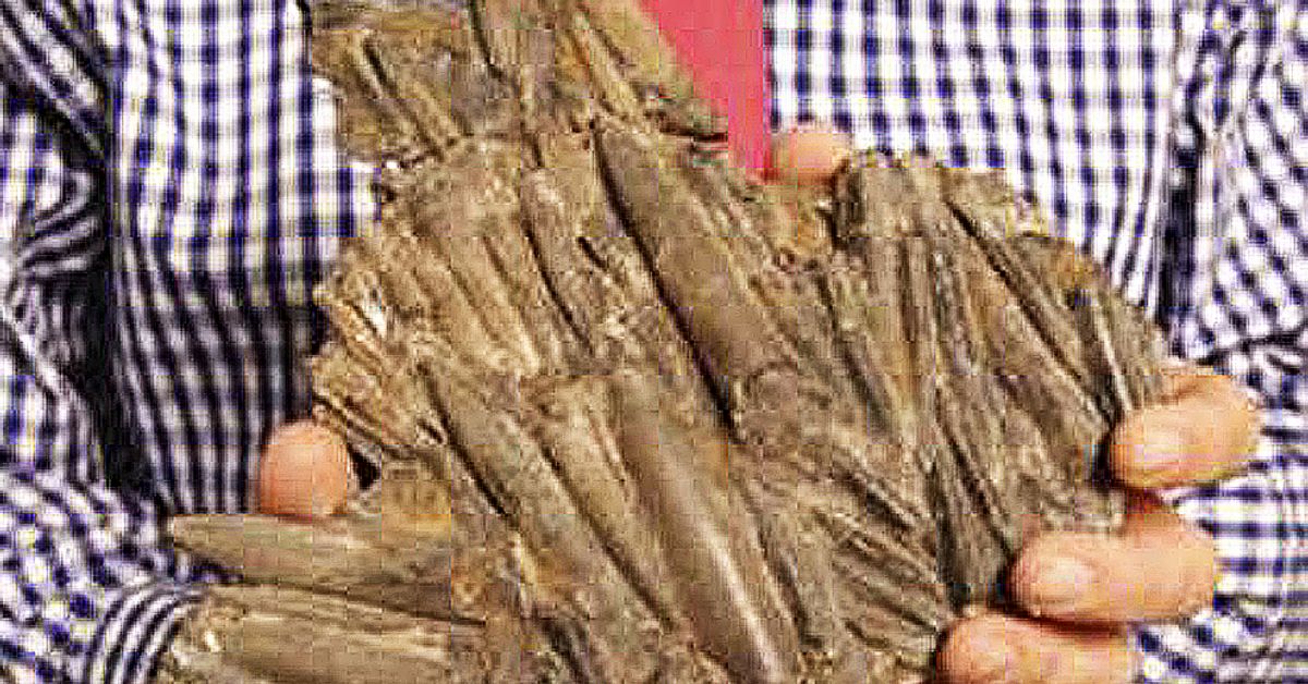 Världens äldsta spya | SVT Nyheter