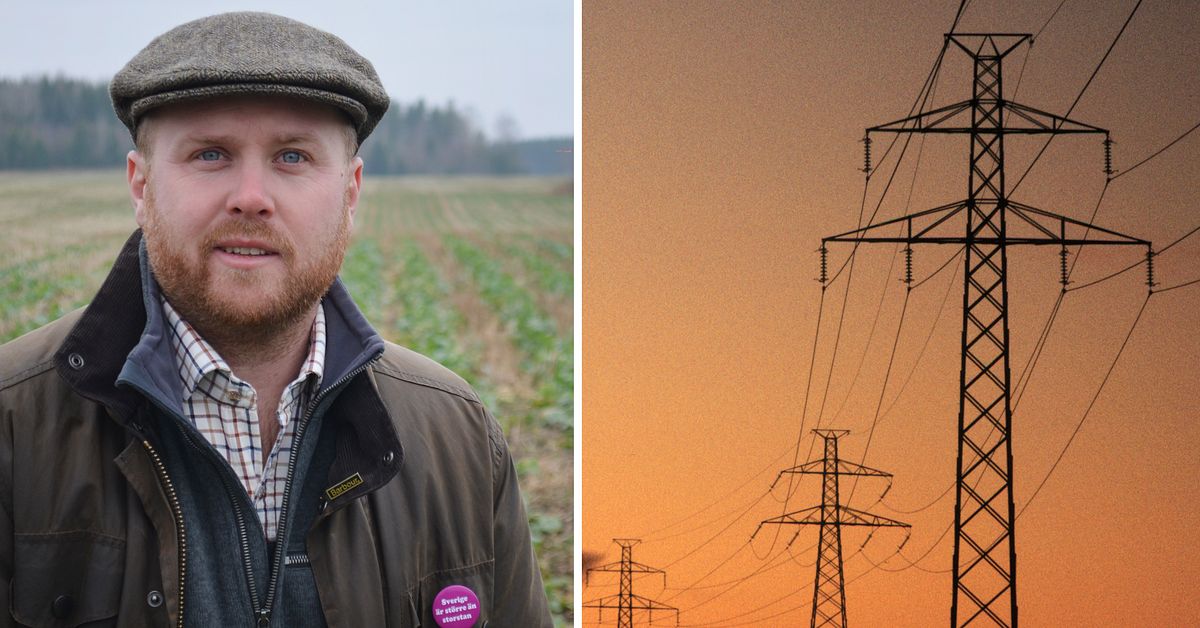 LRF vill stoppa luftledning genom Sörmland | SVT Nyheter