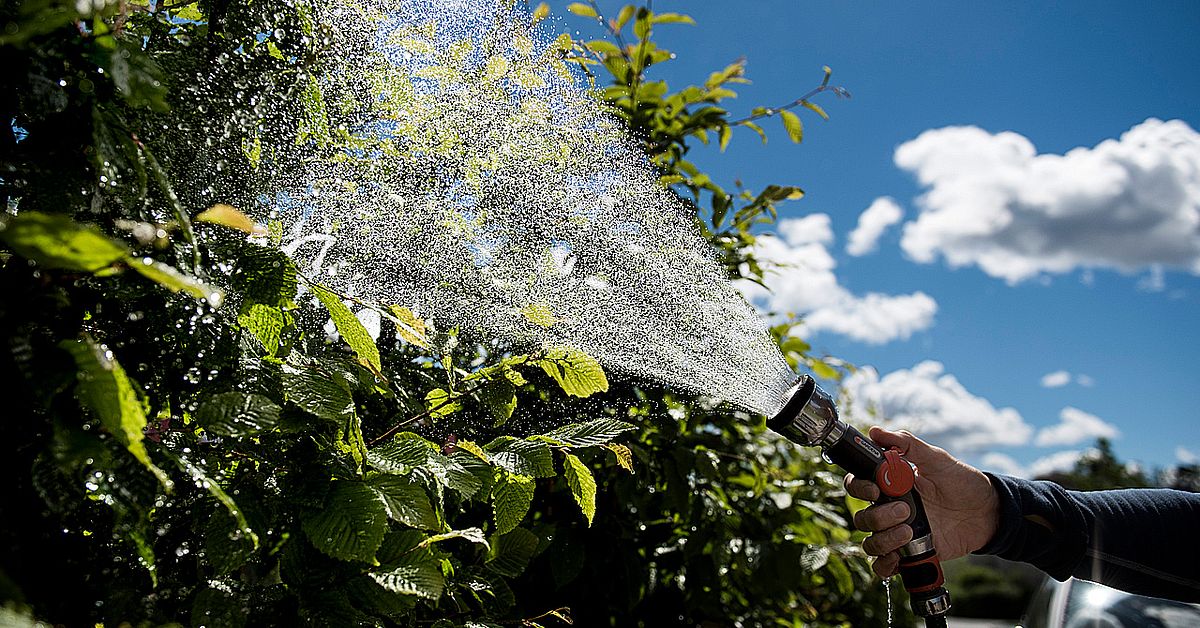 Bevattningsförbud i flera kommuner i Kalmar län | SVT Nyheter