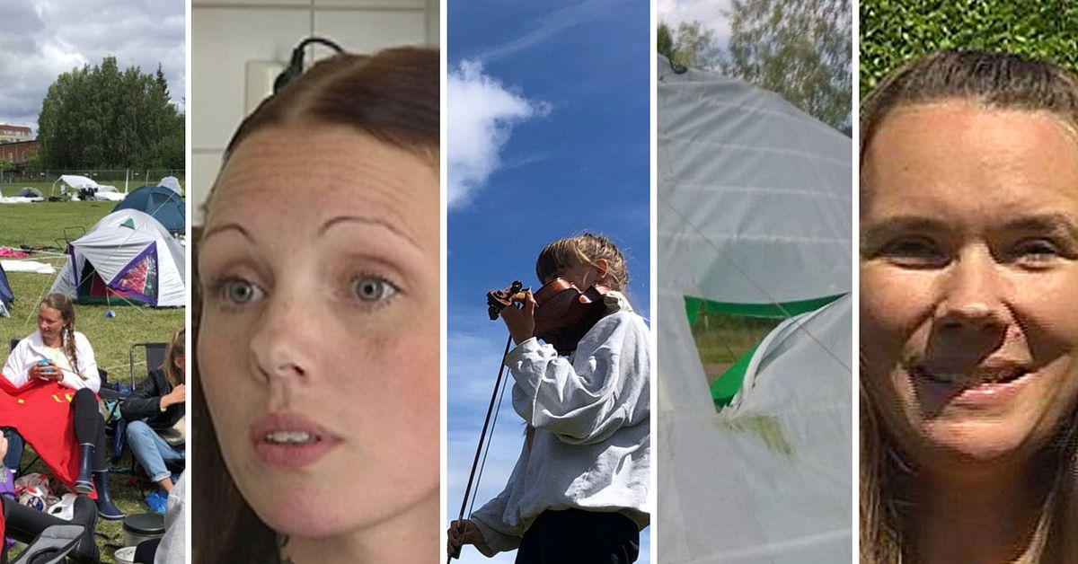 Redaktionen Tipsar Här är Veckans Dalanyheter Svt Nyheter
