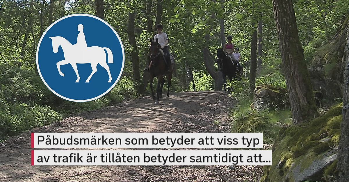 Guide: Här är reglerna som gäller för ridväg | SVT Nyheter