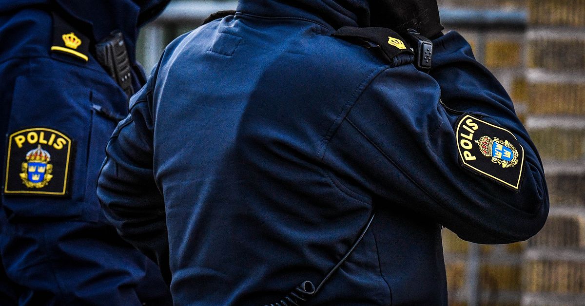 15 utsatta för lägenhetsbedragare i Umeå och Luleå | SVT Nyheter