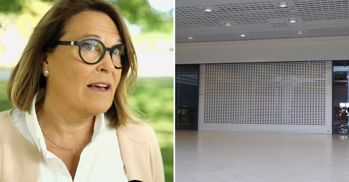 Svensk handel: 30 000 jobb och 11 000 butiker kan försvinna | SVT Nyheter