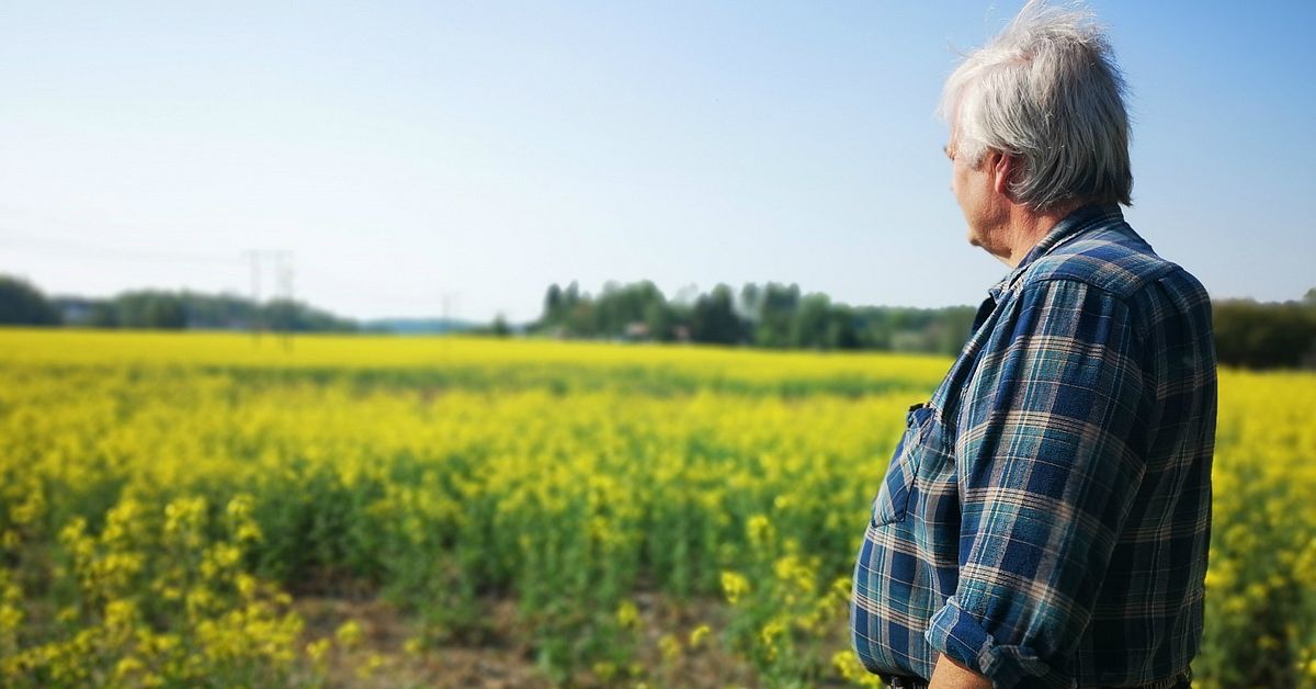 Ekologiskt jordbruk i Västernorrland nästan fördubblat | SVT Nyheter