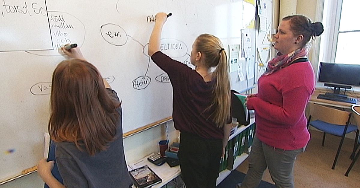 Val 2014: Fokus på skolan | SVT Nyheter