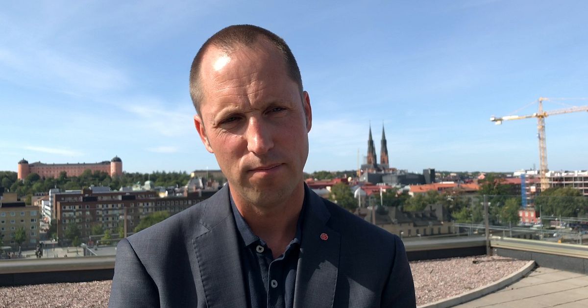 Här svarar Erik Pelling (S) på ministerns kritik | SVT Nyheter